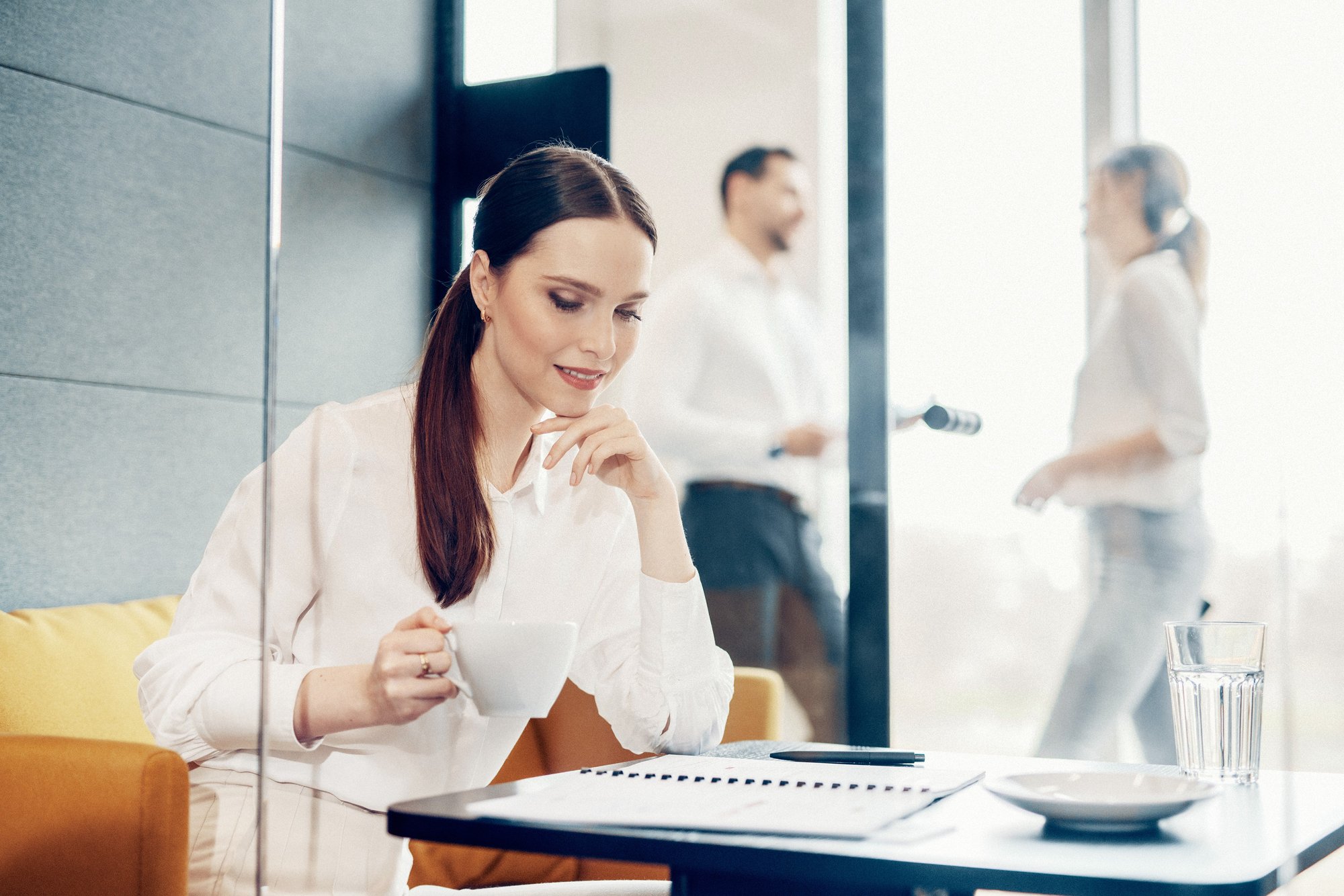 Silentlab - For professionals